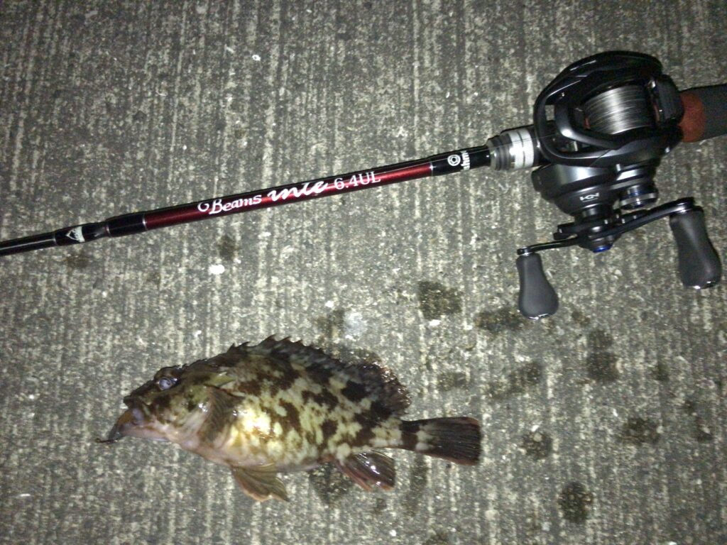 【Fishman Rod】Beams inte 7.7UL 買うべきか？ - NABRA Chase Fishing